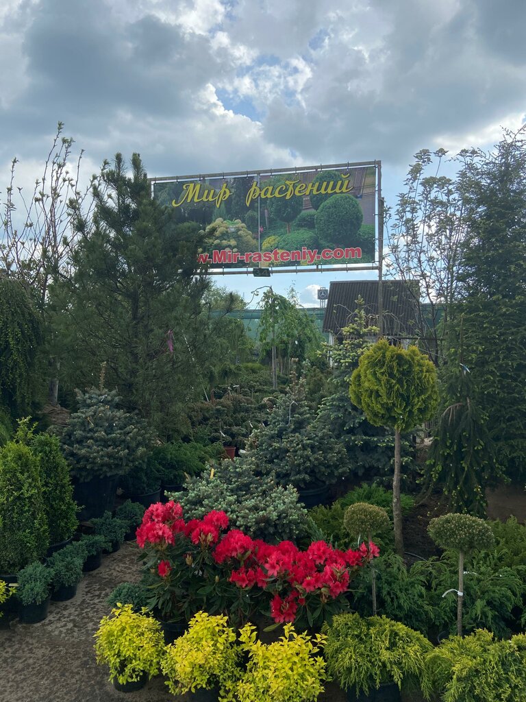 Sera ve bahçe ürünleri Mir Rasteniy, Mytişçi, foto