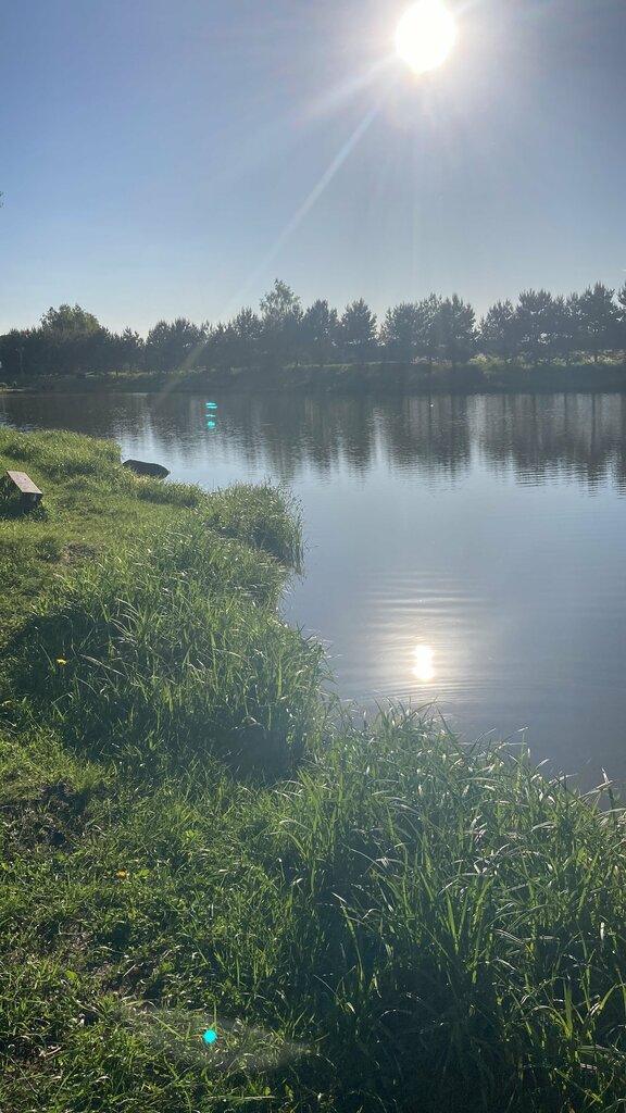 Tatil köyleri Urochishche Shchukino, Kalujskaya oblastı, foto