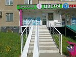 Оранжерея (Chicherina Street No:29), çiçek teslimatı  Çeliabinsk'ten