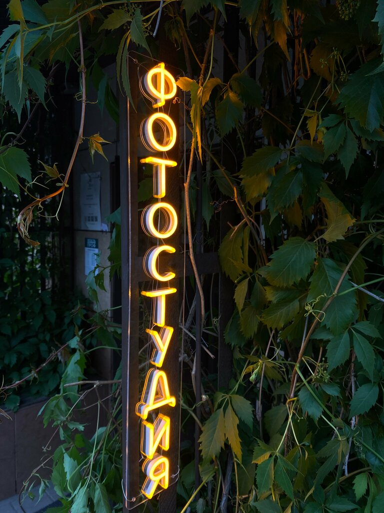 Profesyonel fotoğraf stüdyosu EasyStan, Ramenskoye, foto