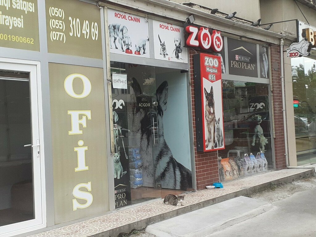 Petshop Zoo 51, Bakü, foto
