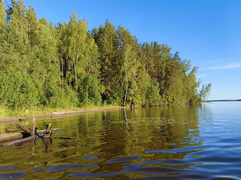 Resort oteller, tesisler Кубойка, Vologodskaya oblastı, foto