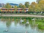 Sasa Sapanca (Sakarya, Sapanca, Göl Mah., Prof.Dr.Mehmet Abuç Cad.), otel  Sapanca'dan