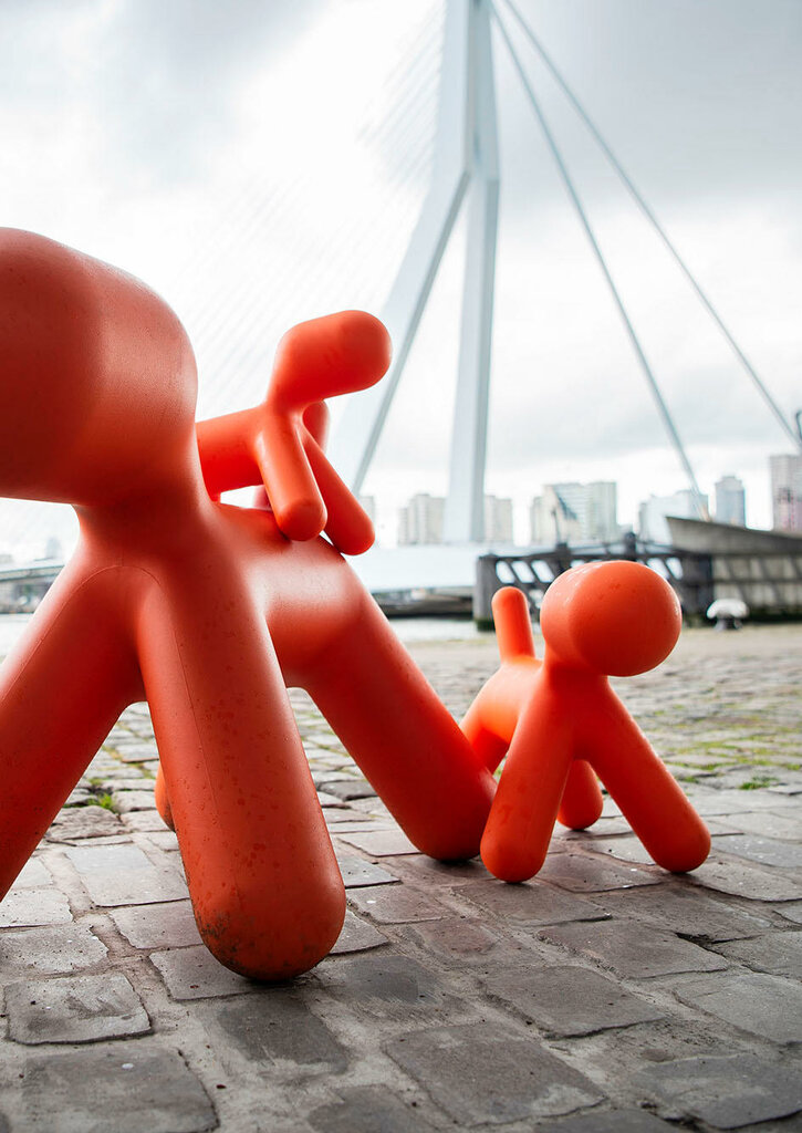 Tercüme büroları Vertaalbureau Mettaal, Rotterdam, foto