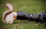 Photostudio3d (ulitsa Generala Knysha No:8), fotokopi dükkanları  Gatchina'dan