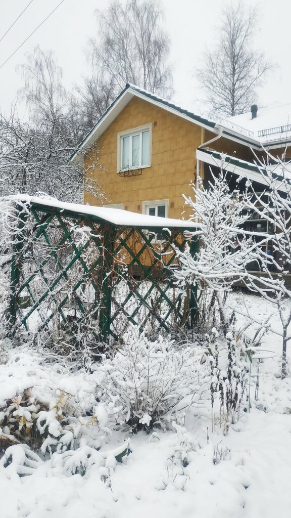 Sanat atölyeleri Zelyonaya Polyana, Moskova ve Moskovskaya oblastı, foto