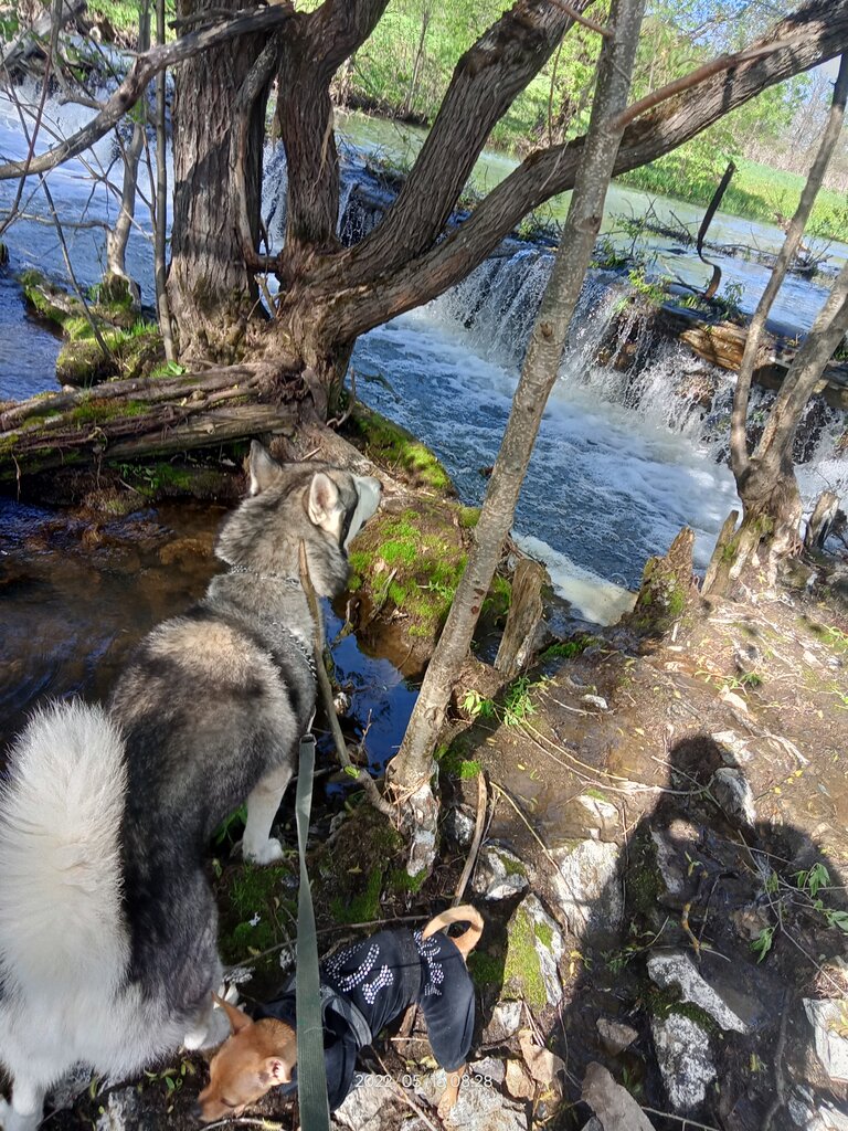 Şelale Waterfall, Kalujskaya oblastı, foto