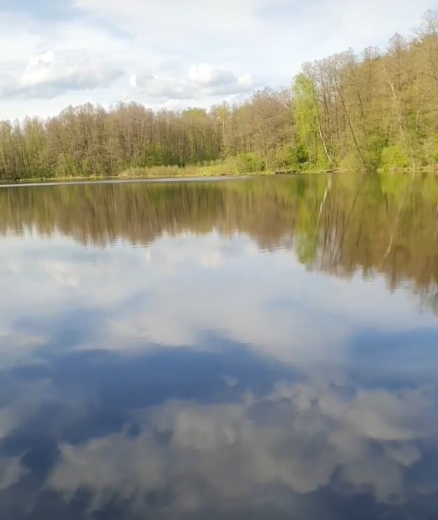 Pınar, çay Spring, stream, Moskova ve Moskovskaya oblastı, foto