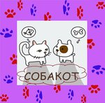Sobakot (ulitsa Kalinina No:вл6с1), petshop  Mytişçi'den
