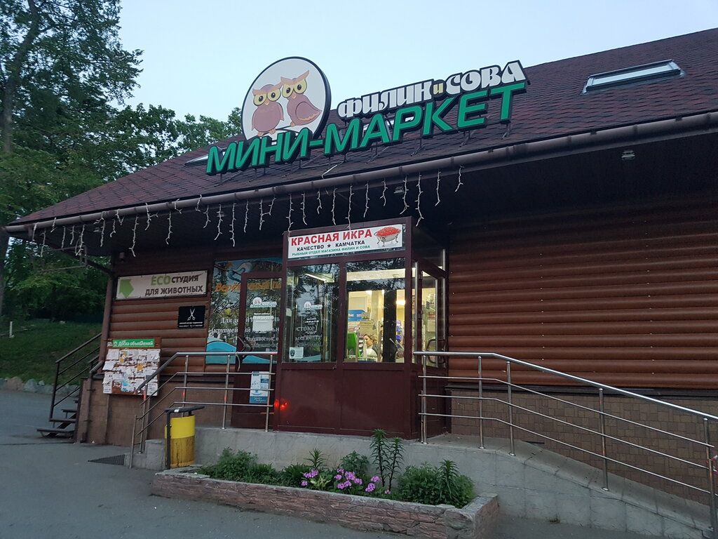 Kitap mağazaları Филин и Сова, Vladivostok, foto