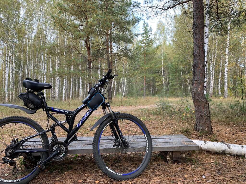 Piknik alanı Место для пикника, Vladimir, foto