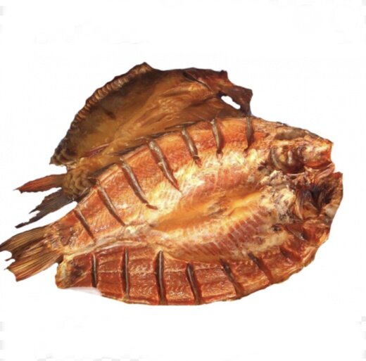 Balık çiftçiliği ve toptancıları Фермерская рыба Samfish, Vladimirskaya oblastı, foto