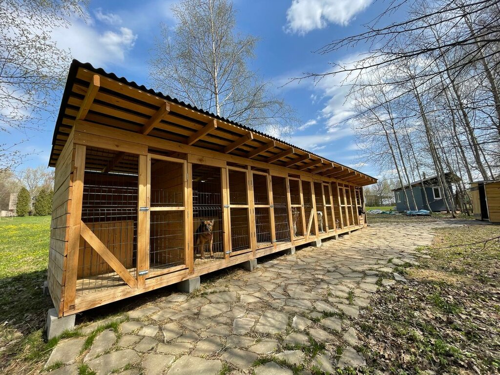 Pet otel Heel, Moskova ve Moskovskaya oblastı, foto