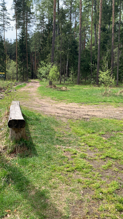 Pınar, çay Spring, stream, Moskova ve Moskovskaya oblastı, foto
