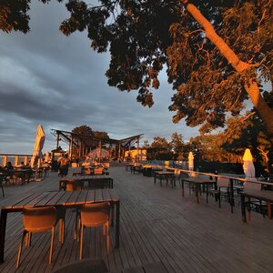 Gnezdo (ulitsa Gagarina No:46, Zelenogradsk, Russian Federation), kafe