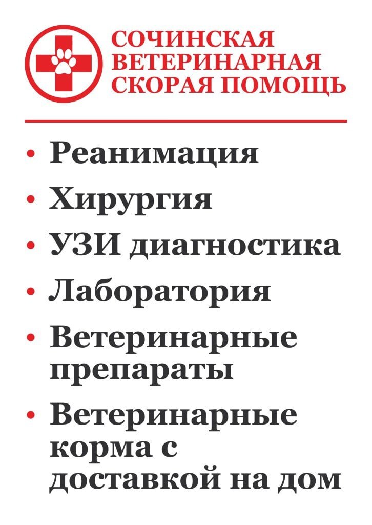 Veteriner klinikleri Sochi. vet, Soçi, foto