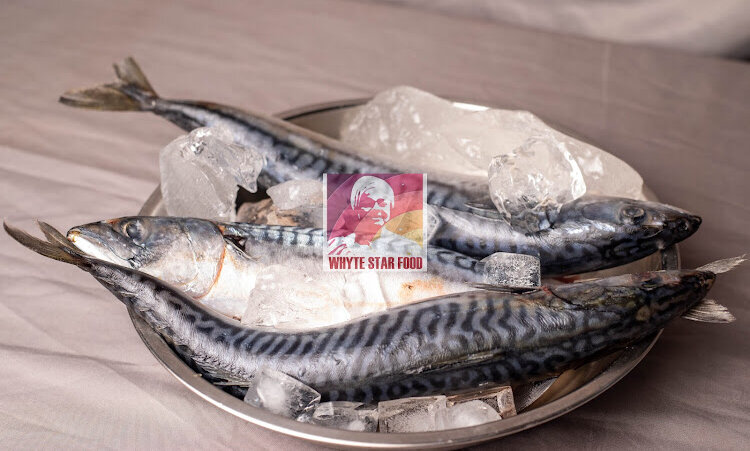 Dondurulmuş gıda firmaları Whytestar Foods, Kumasi, foto