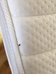 Pros In Control Pest Services (United States, Jersey CIty, 28 Duncan ave), haşere ilaçlama firmaları  Jersey city'den