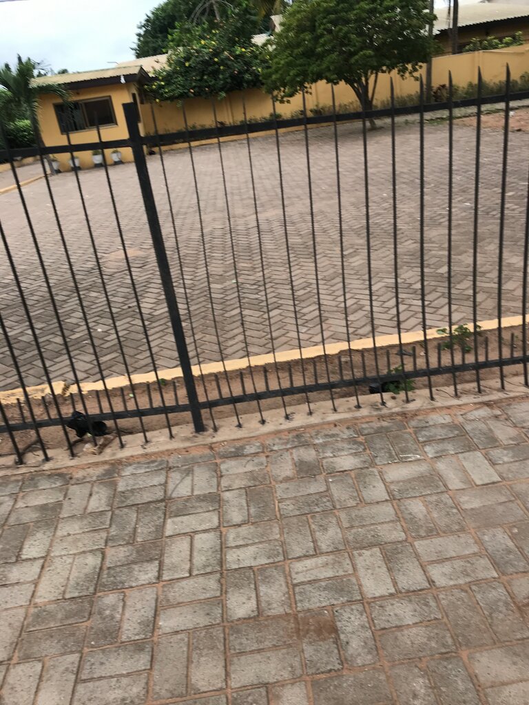 Otel Feladei, Dünya, foto