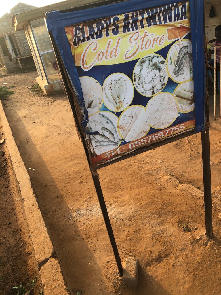 Dondurulmuş gıda firmaları Glady antwiwaa, Dünya, foto