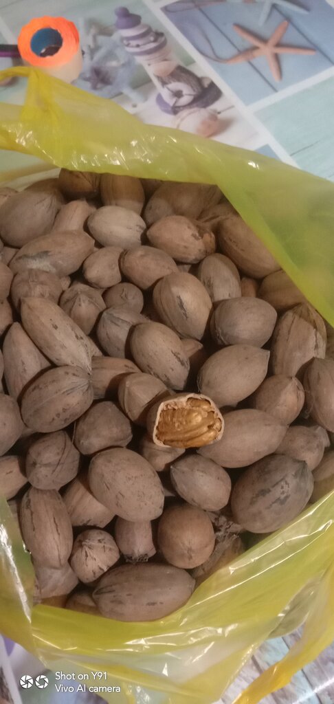 Toptan gıda mağazaları Tayozhnik, Soçi, foto