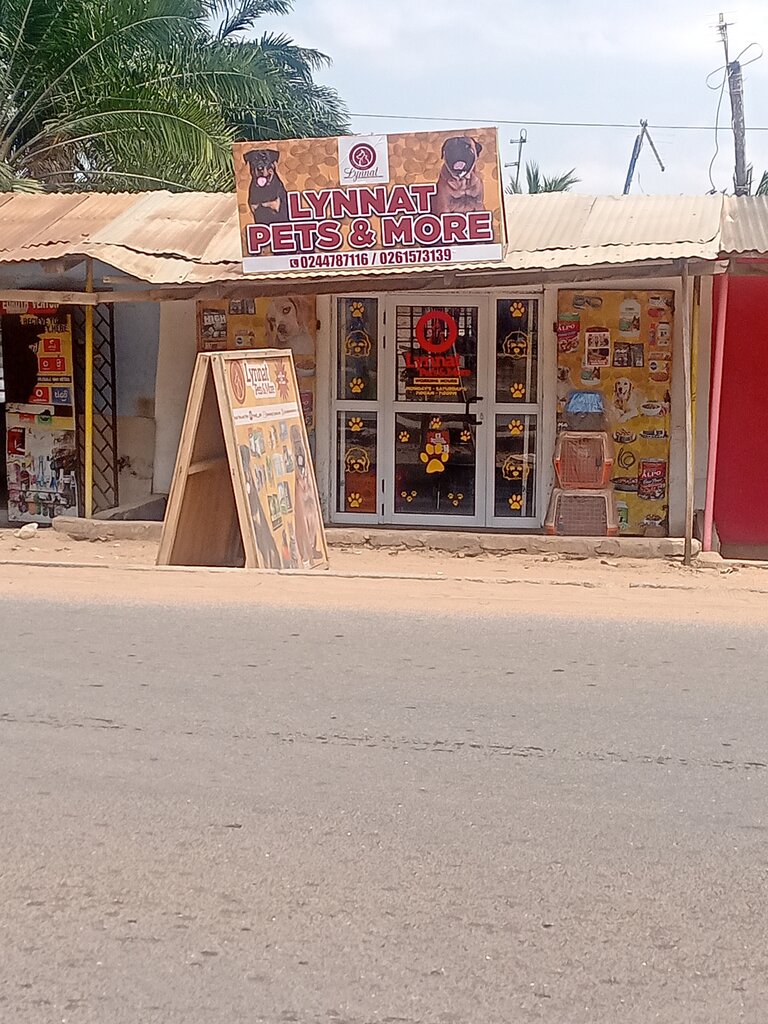 Petshop Lynnat pets and more, Dünya, foto