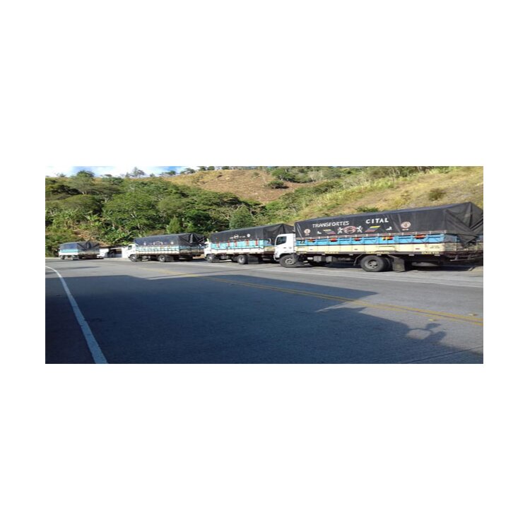 Nakliye firmaları Transporte Pesado Cital, Kito, foto