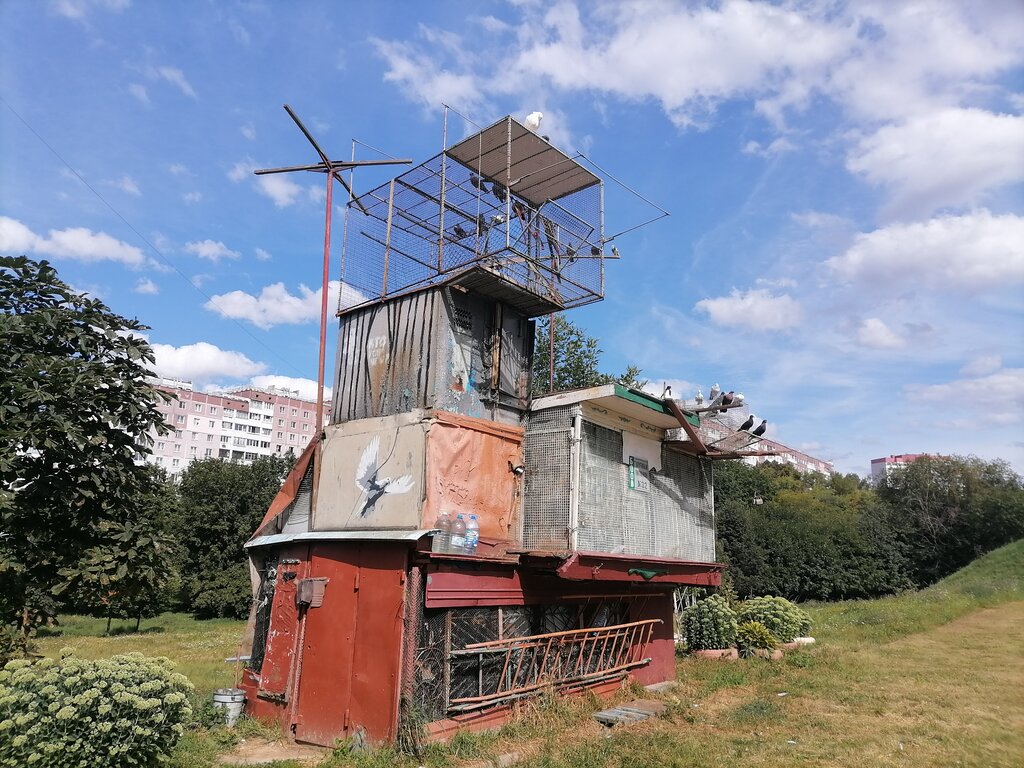 Kuşlar için büyük kafes БООП, голубиный питомник № 32, Minsk, foto