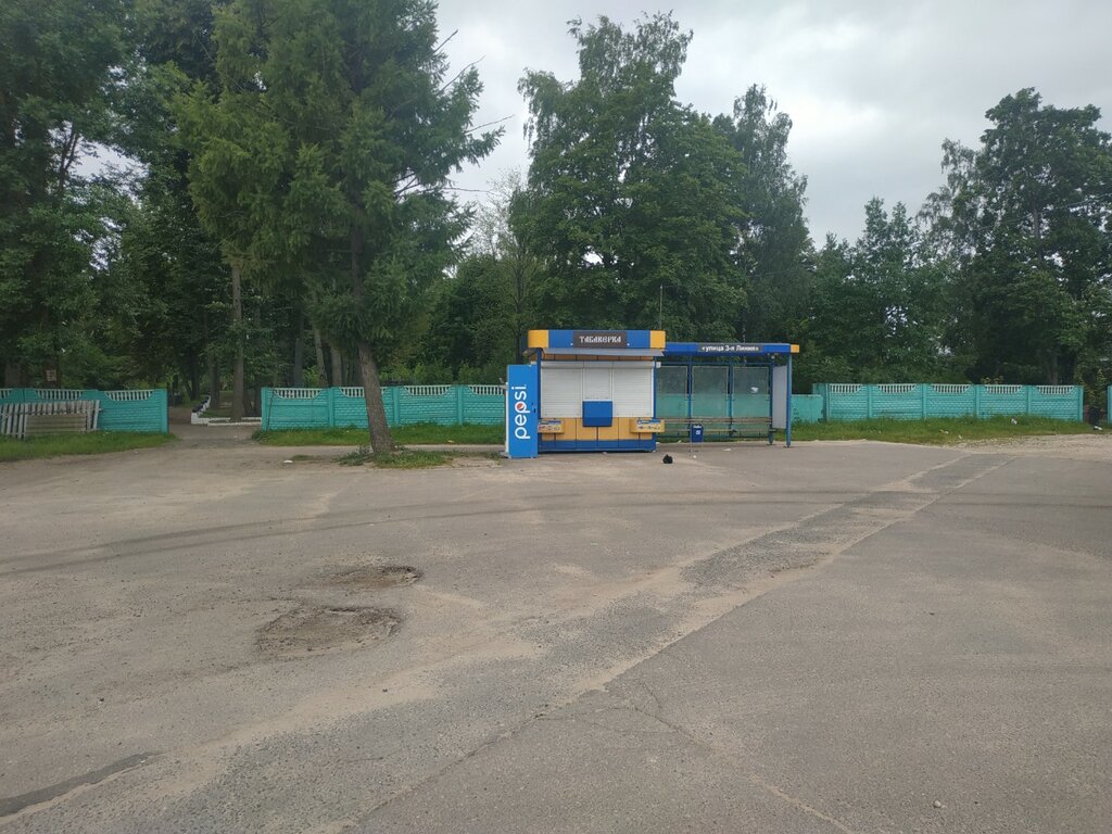 Mezarlıklar Pieskavacinskija mohilki, Vitebsk, foto