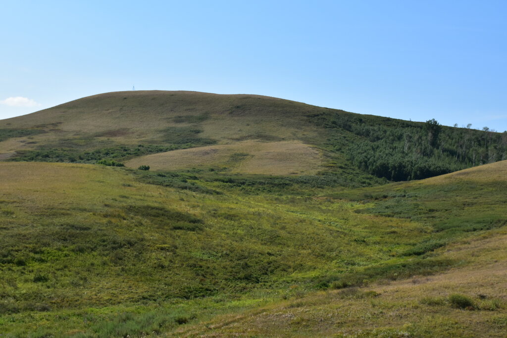Dağ zirvesi Гора Крутая, Orenburgskaya oblastı, foto
