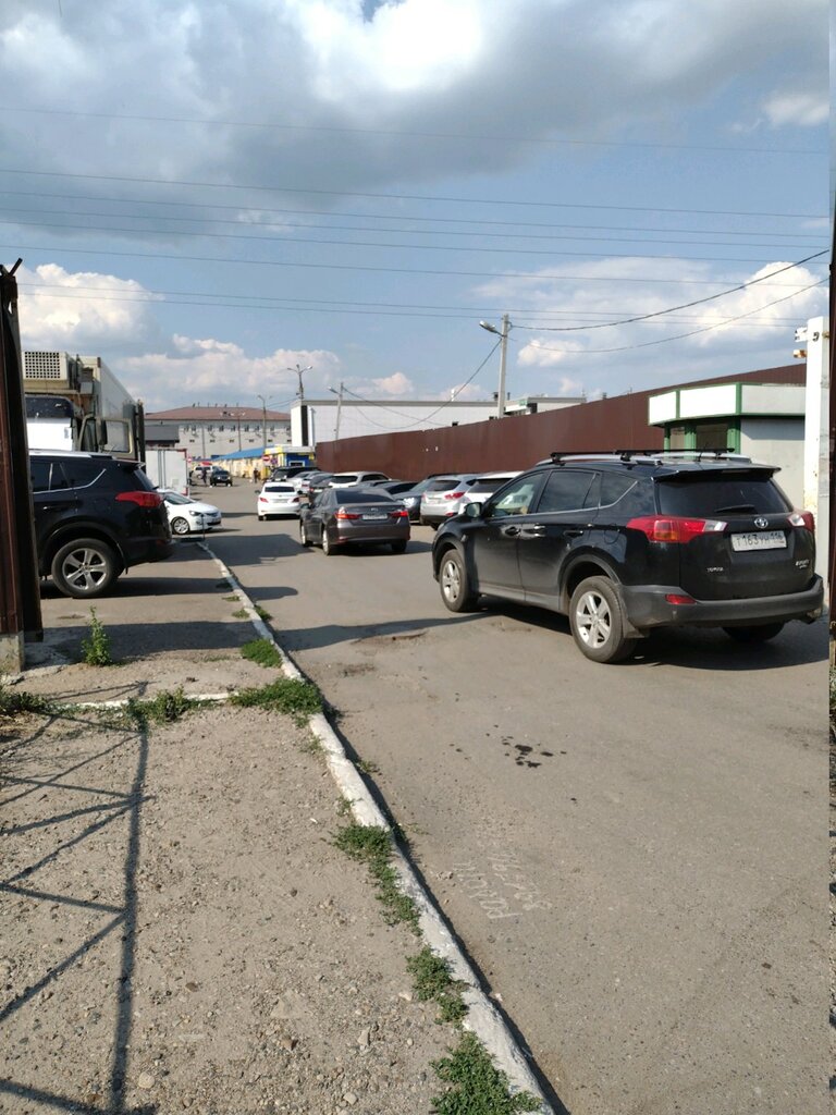 Sera ve bahçe ürünleri Мир-растений, Kazan, foto