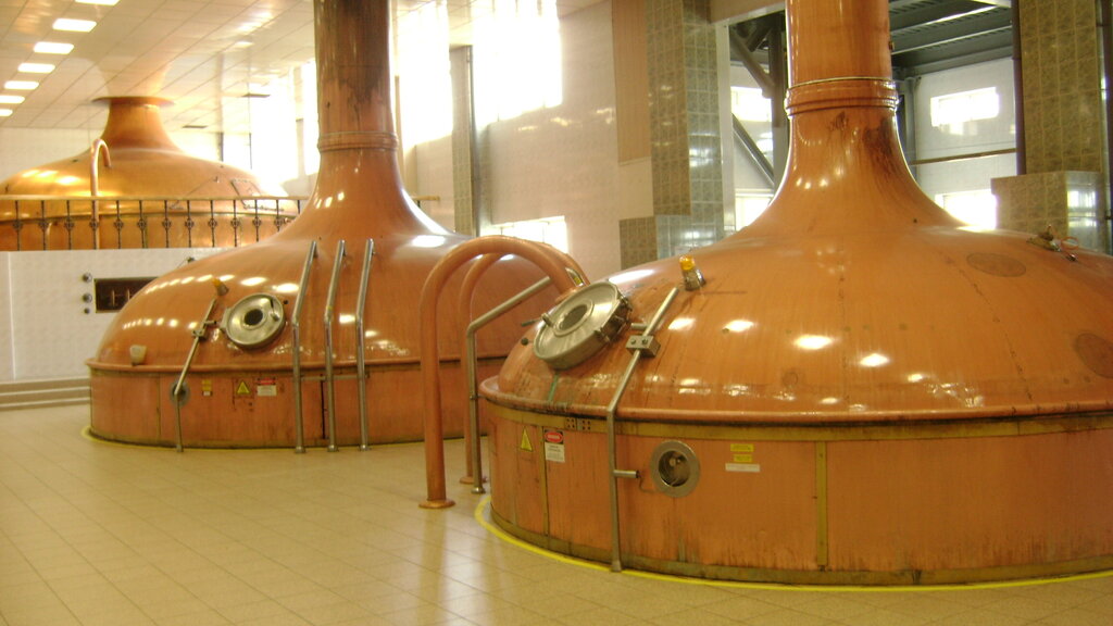 Bira fabrikası Ab InBev Efes, Mordovya, foto