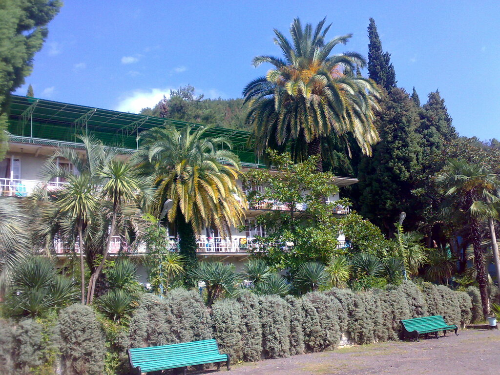 Resort oteller, tesisler Донской Табак, Gagra Bölgesi, foto