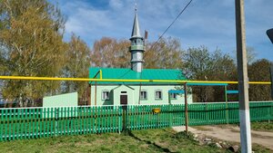 Mosque (ulitsa Kirova No:1, selo Davlikeyevo), cami  Tataristan'dan