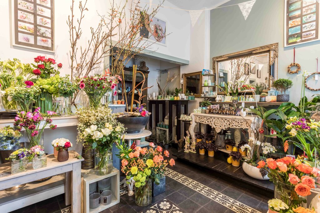 Çiçek teslimatı Stielecht Floristik Blumen, Pflanzen und Hochzeitsfloristik Köln, Köln, foto