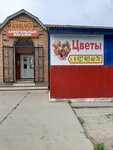 Цветы (Tsentralnaya ulitsa No:19, selo Chelno-Vershiny), çiçekçiler  Samarskaya oblastından