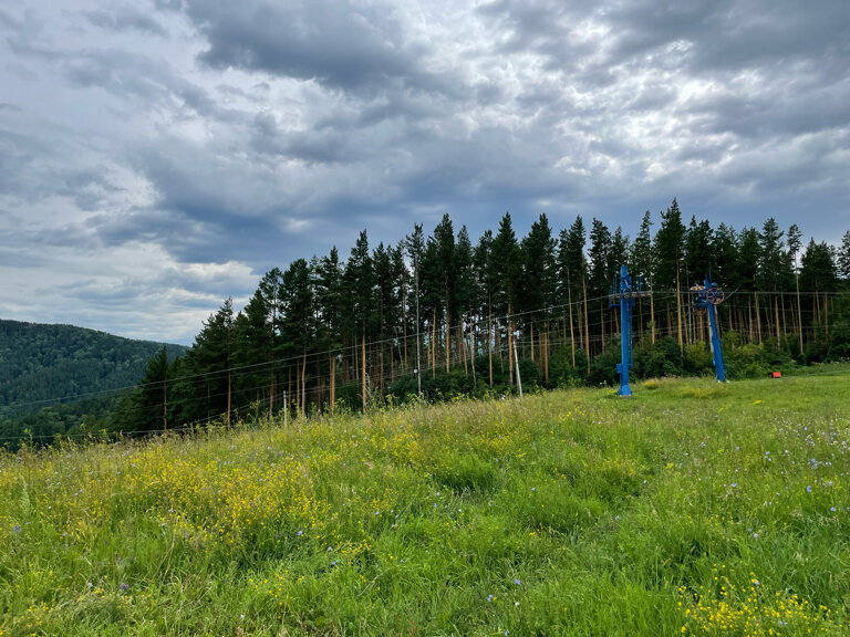 Hızlı ulaşım istasyonu Катунь, Belokuriha, foto