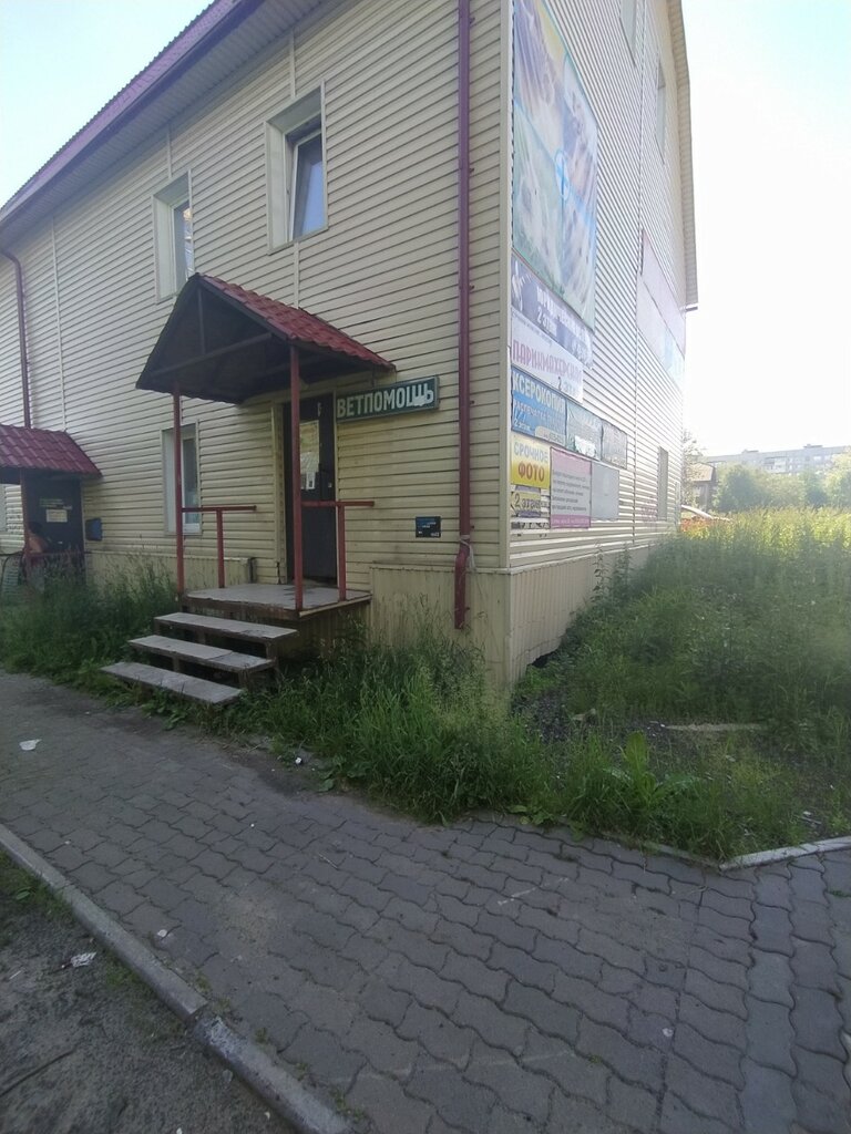 Veteriner klinikleri Помощь, Arhangelsk, foto