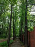 Казанский дендрарий (Tovarishcheskaya ulitsa No:40), parklar ve ormanlar  Kazan'dan
