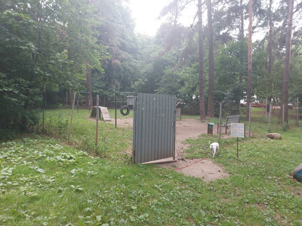 Köpek gezdirme alanları Dog park, Minsk, foto