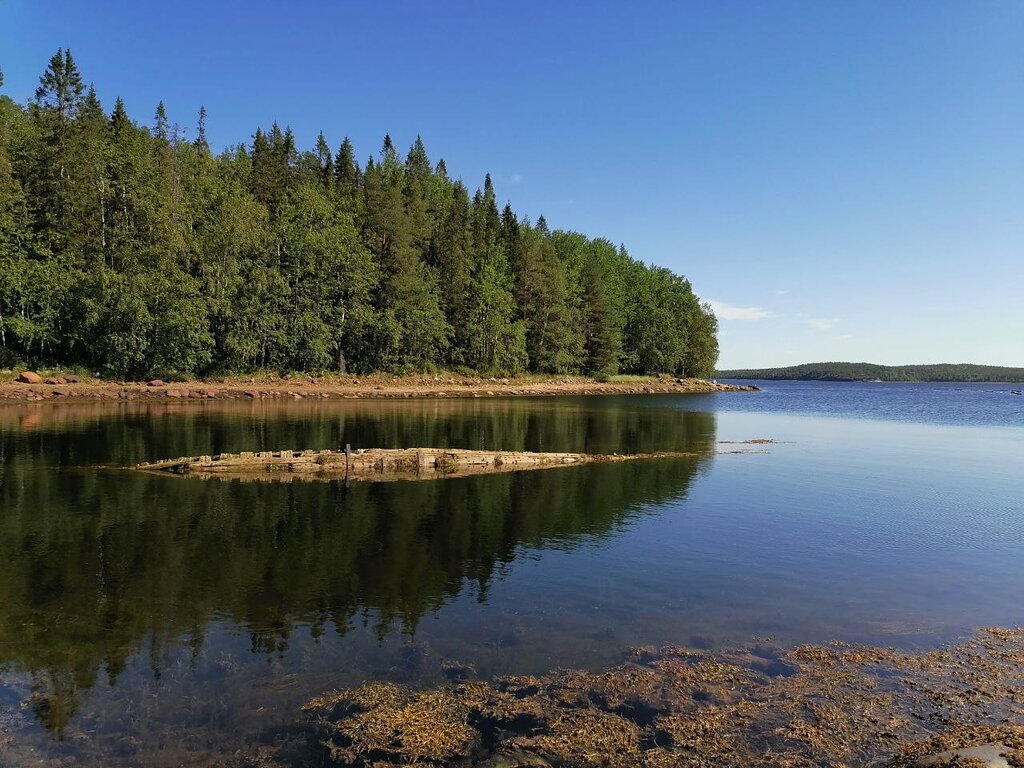 Turistik yerler Затопленное судно Профессор Месяцев, Karelya, foto