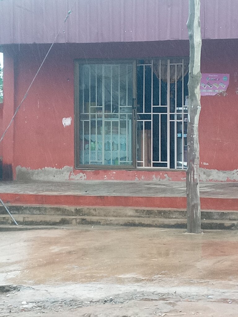 Kitap mağazaları School stationary, Dünya, foto