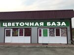 Солнечный ветер (Lopatinskaya ulitsa No:9с1, Voskresensk), çiçekçiler  Moskova ve Moskovskaya oblastından