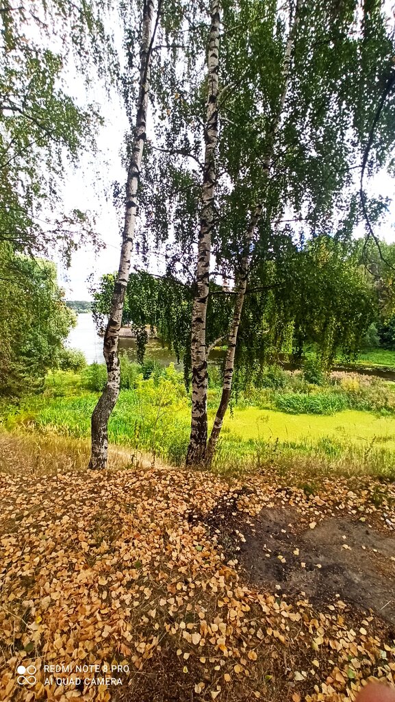 Pınar, çay Spring, stream, Kineşma, foto