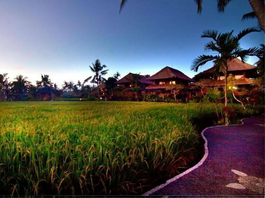 Otel Agung Raka Bungalow, Bali, foto