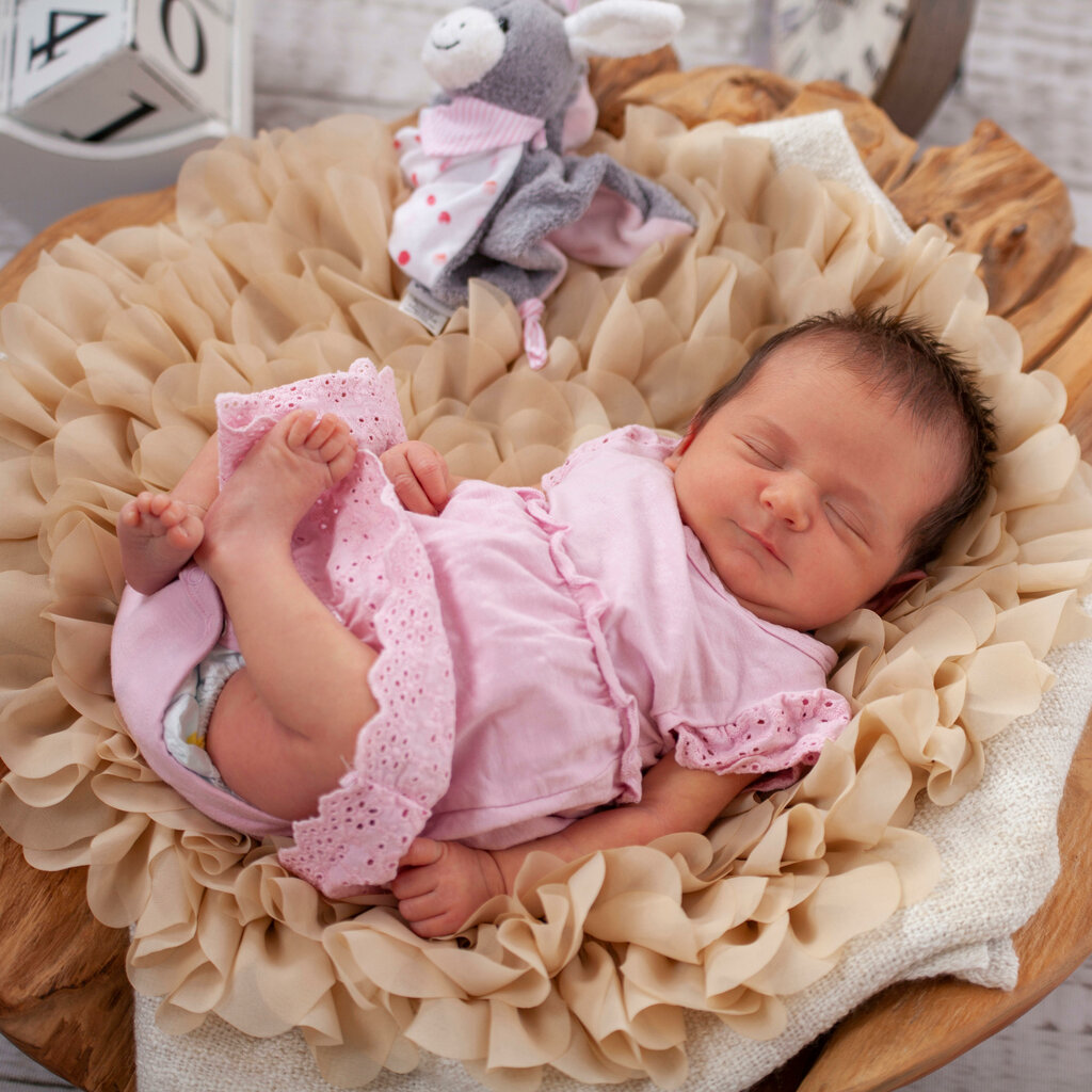 Fotoğraf hizmetleri Fotostudio Bosl, Bavyera, foto