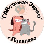 GAVstronom Zarina (Molodyozhnaya ulitsa No:7), kasap, şarküteri  Pikalevo'dan