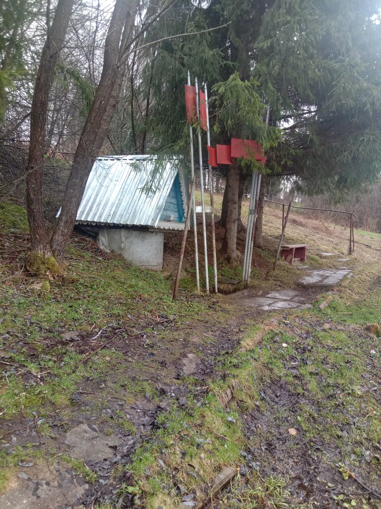 Pınar, çay Spring, stream, Tverskaya oblastı, foto