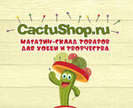 Cactushop.ru (ploshchad Svobody No:3А), hobi, elişi için ürünler  Engels'ten