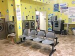Servicerapido - Disinfezione Ambientale e Lavanderie Self Service (Via Pola No:3, Ferrara), kuru temizlemeciler  Ferrara'dan